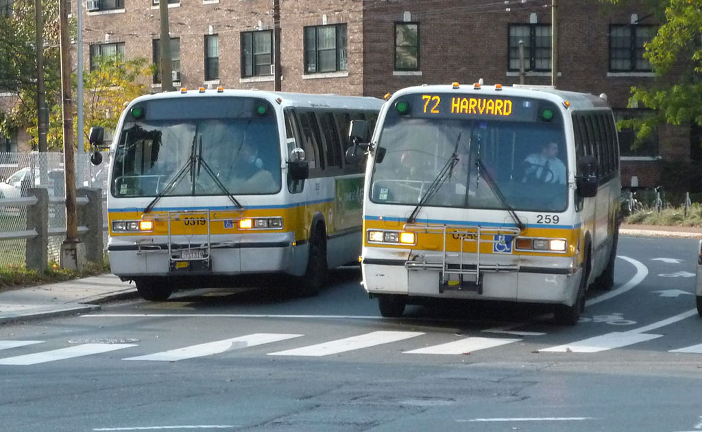 An ode to the 71 bus - Cambridge Day